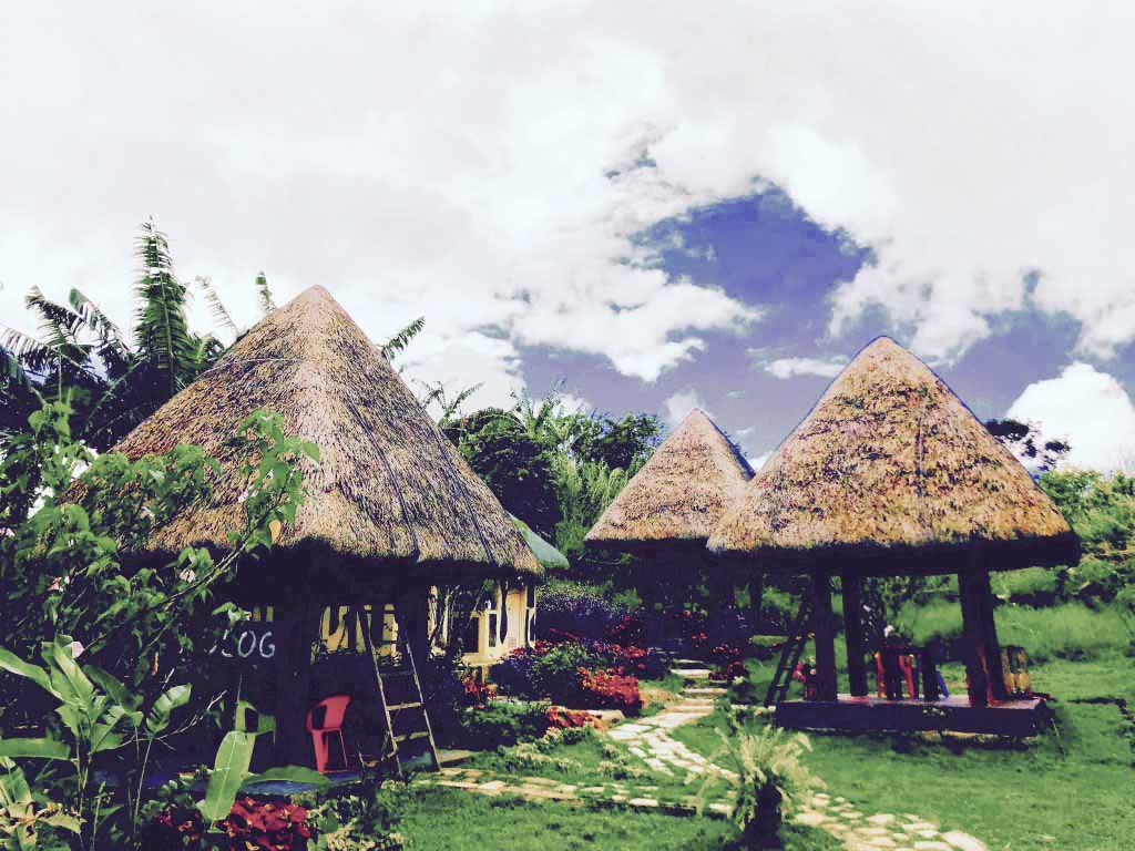 About – Daila Farms