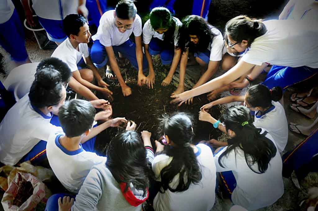 About – Daila Farms