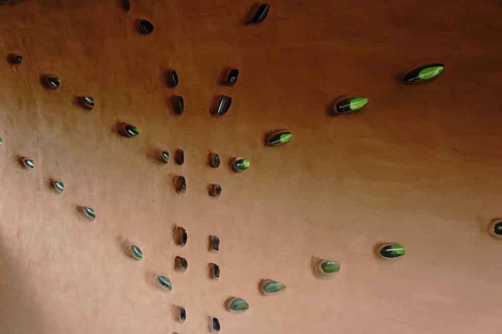 About – Daila Farms