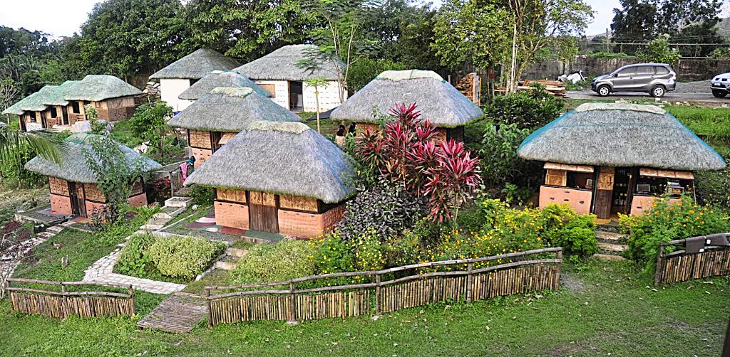 About – Daila Farms