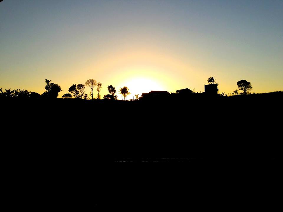 About – Daila Farms