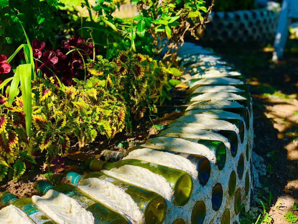 About – Daila Farms